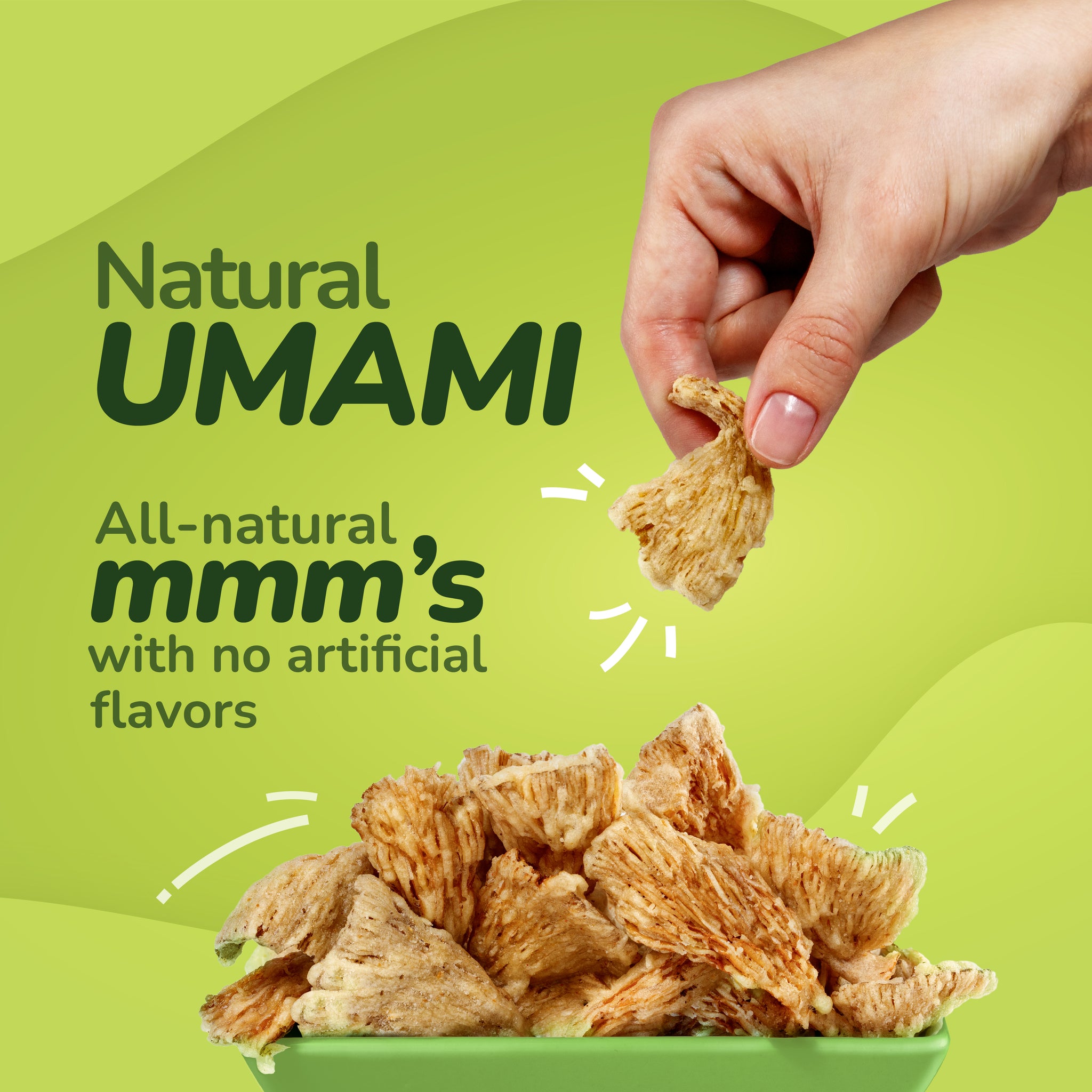 Crunchy Mushroom Chips - Variety Pack – Evil Snacks