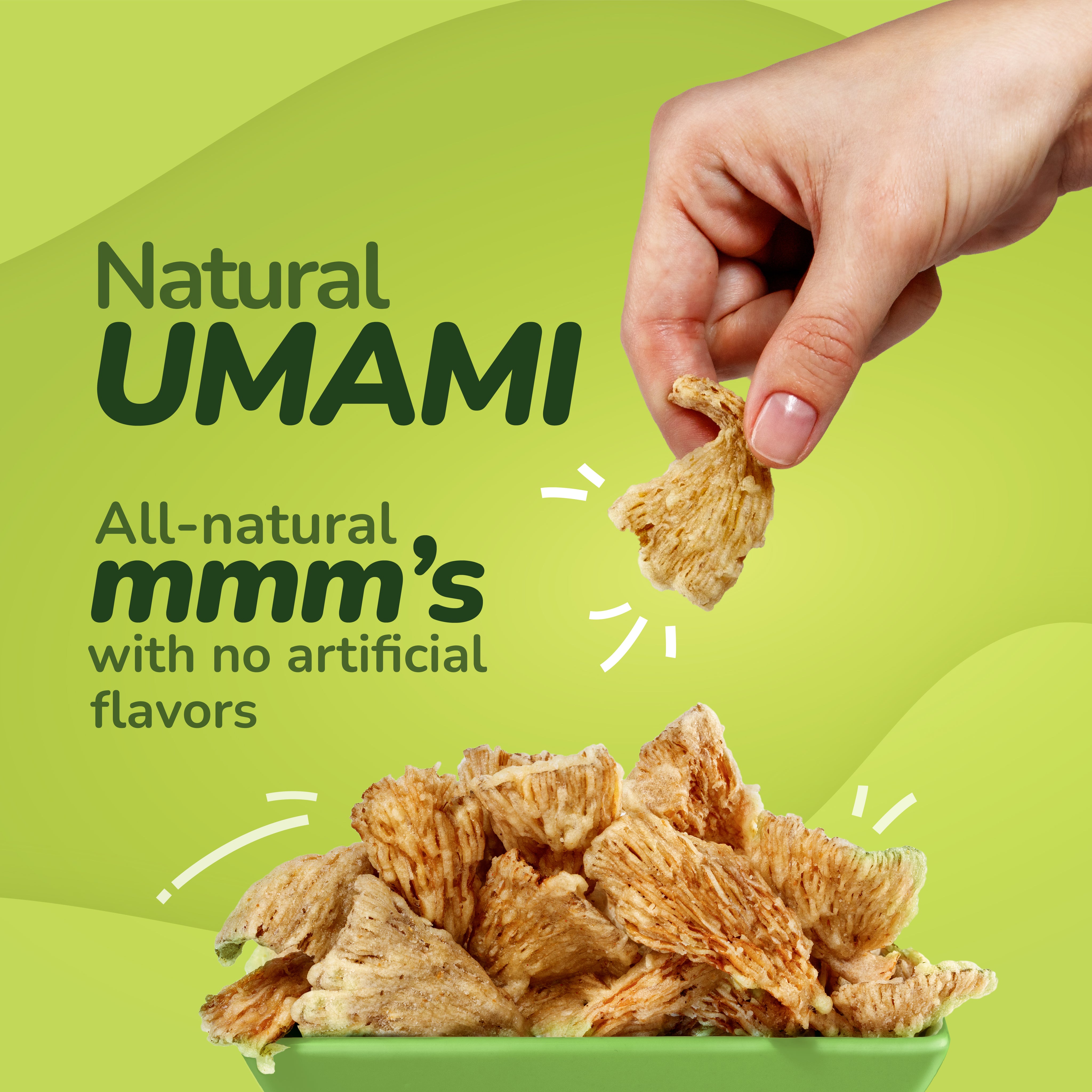 Crunchy Mushroom Chips - Variety Pack – Evil Snacks